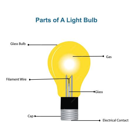 Premium Vector Vector Diagram Showing Parts Of Light Bulb