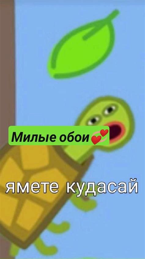 Милые обои💞 Милые обои Сумасшедшие лица Обои