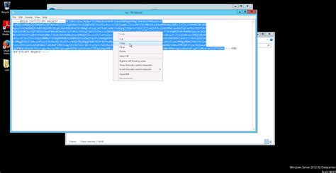 Vmware Vcenter Ssl Certificate 101