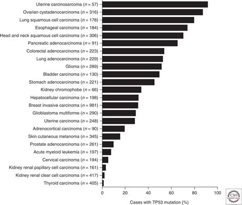 clinical outcomes of tp53 mutations in cancers