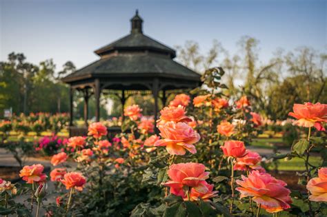 Travel Inspiration Downtown Thomasville Georgia
