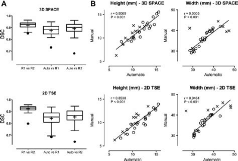 Dsc Scores For Inter Rater Variability And Accuracy Of The Automated