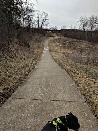 Austin Badger Park Medina 2020 All You Need To Know Before You Go