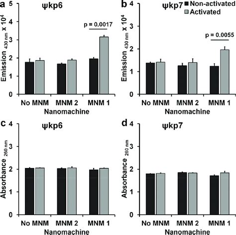 Cell Wall Outer Membrane Permeability And Cell Membrane Integrity With Download Scientific