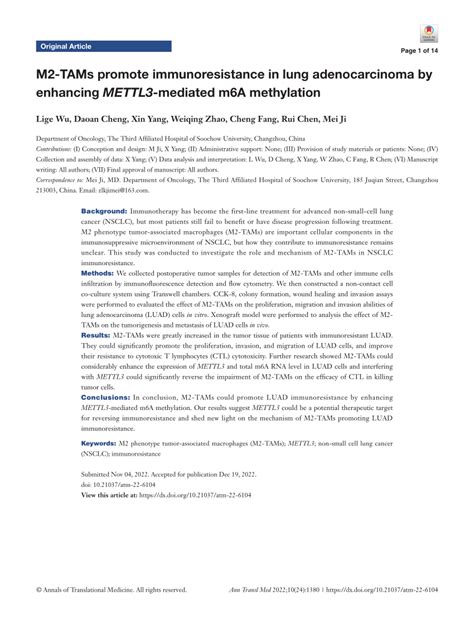 Pdf M2 Tams Promote Immunoresistance In Lung Adenocarcinoma By Enhancing Mettl3 Mediated M6a