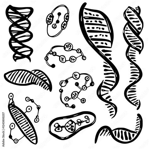 Patterns Of Molecular Structures And Dna Strands Illustrate Biological Diversity In A Dynamic