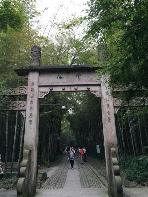 2023云栖竹径游玩攻略 建议游玩1 还需要特别注 去哪儿攻略