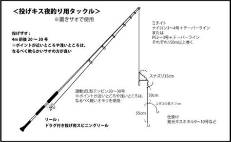 夏の投げキス釣りは夜が圧倒的に有利な4つの理由と狙い方キホン解説 TSURINEWS