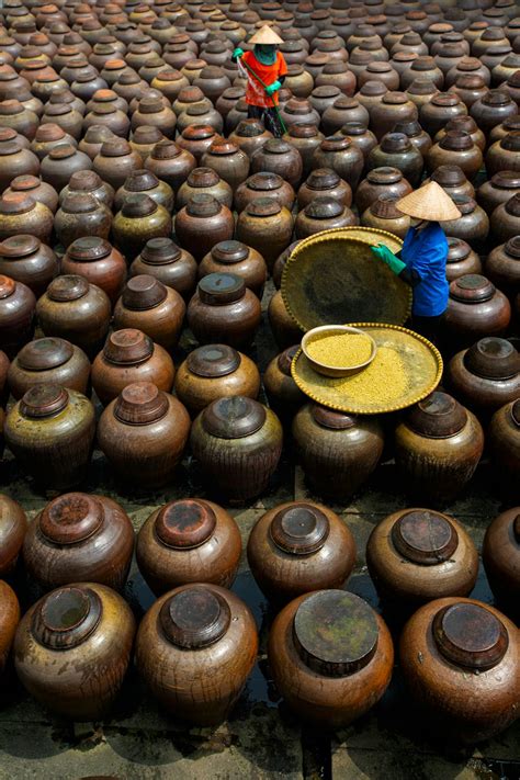 집 밖의 고대 기술 공예 국내 생산 균일한 패턴 근로자 농업 농촌의 마을 생활 마을 작업 문화 유산 발효 베트남 베트남 산업 베트남 전통