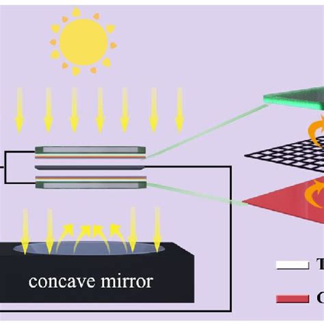 Schematic Diagram Of The Cell Design In The Present Work Download Scientific Diagram