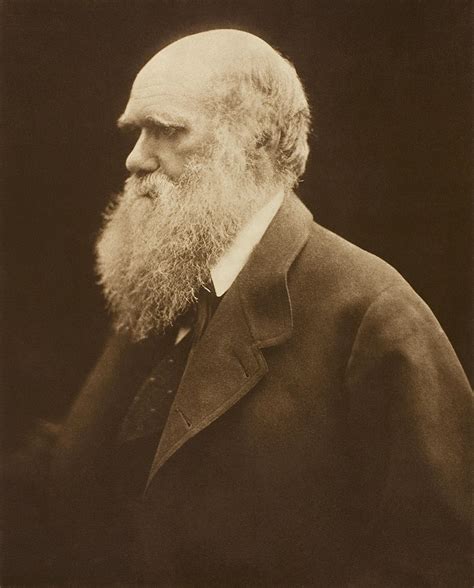 About Charles Darwin Theory