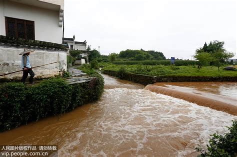 安徽黄山遭遇强降雨【6】 图片频道 人民网