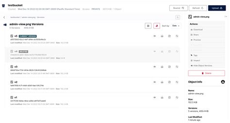 Delete Object With Versioning Enabled Upload Object Again With Same Name And All Previous