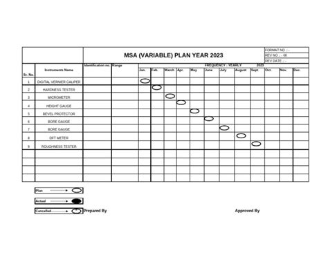 Msa Plan Recovered Pdf