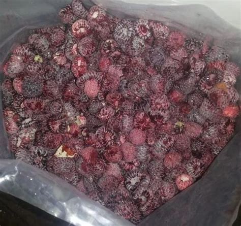 Frozen Indian Iqf Raspberry Packaging Size 1 Kg Packaging Type