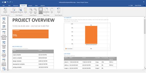 Ms Project Reporting Top Ms Project Reports Seavus Project Viewer