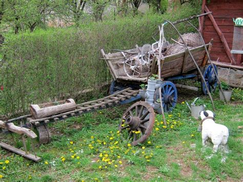Ribnjak Foto Prilozi Agroklub Rs