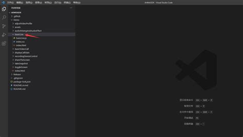 一分钟跑通视频 demo