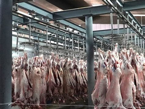 Малчдаас худалдан авч буй хонины махыг хадгалах агуулахын нөөц 120 мянган тонн байна