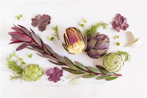 August Flowers Wallpapers Top Free August Flowers Backgrounds