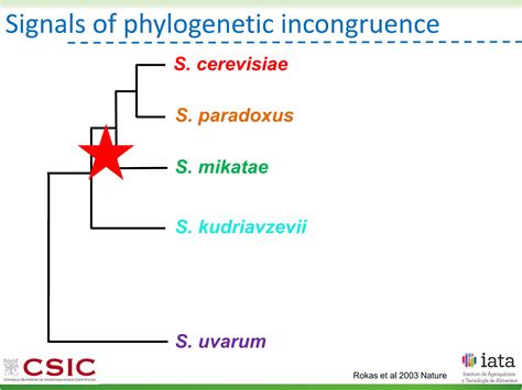 Reticulate Evolution In Yeasts And Its Industrial Applications Ppt