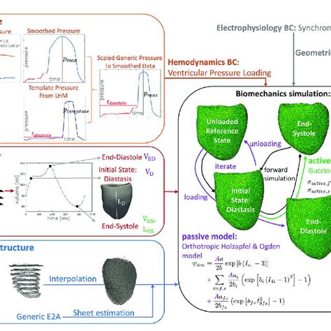 Workflow Of The Data Assimilation And Personalization Process For A Download Scientific Diagram