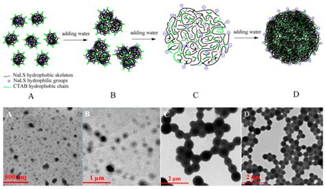 Lignin Based Nanoparticles A Review On Their Preparations And