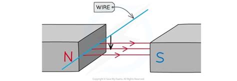 5 The Generator Effect Flashcards Quizlet