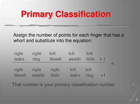 Ppt Primary Classification Powerpoint Presentation Free Download
