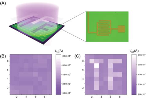 A Schematic Illustration Of The Photodetector Array And Typical Device Download Scientific