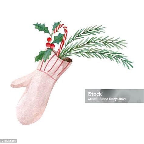 사탕 지팡이 소나무 가지 빨간 열매와 함께 손으로 그린 니트 벙어리 장갑 12월에 대한 스톡 벡터 아트 및 기타 이미지 12월 개체 그룹 겨울 Istock