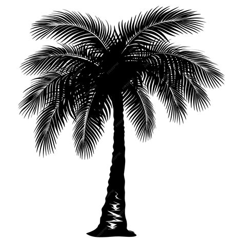 Premium Vector Silhouette Palm Dates Black Color Only