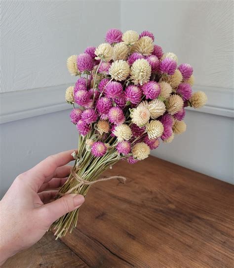 Dried Gomphrena Bouquet Natural Grown In Usa Etsy