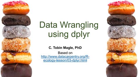 Data Wrangling With Dplyr PPT