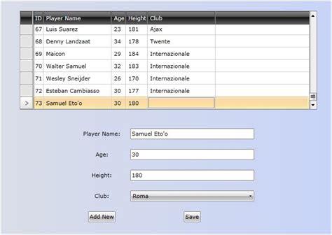 Data Grid Navigation Property Column Value Not Appear In Ui For