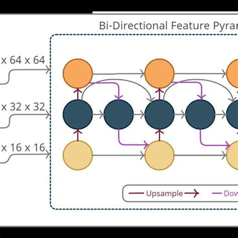 The Architecture Of Our Baseline Bi Directional Feature Pyramid Network Download Scientific