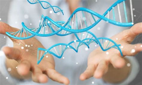 Sabine Oertelt Prigione On Linkedin Vacancy Postdoc The Role Of Sex And Gender In The