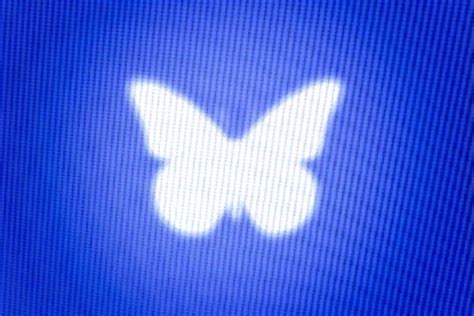 آشنایی با خرس سیاه آسیایی تستچی