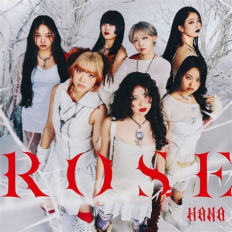 Hana「rose」総合首位獲得コメントが到着「これからも力強く前進してまいります！」 Daily News Billboard Japan