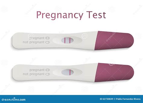 Positive And Negative Pregnancy Test Stock Vector Image