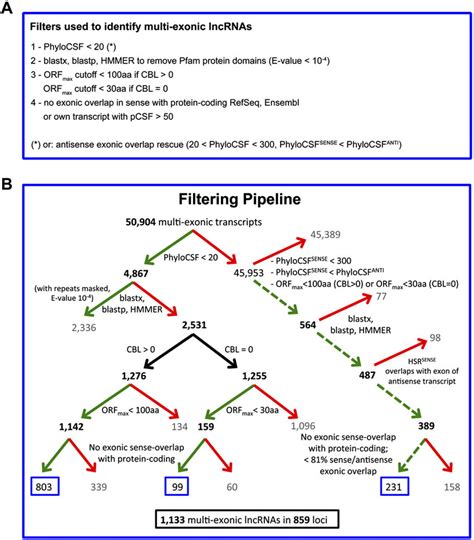 Overview Of The Stringent Filtering Pipeline That Defined A Download Scientific Diagram