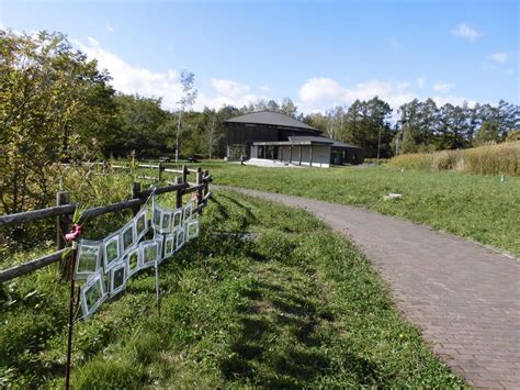 野幌森林公園 近郊及び大沢口 写真紹介 自然ふれあい自然交流館 サハリン北海道の話題は