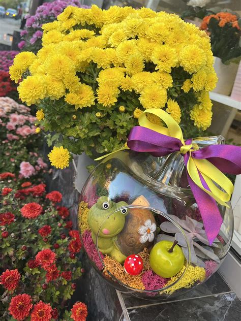 Детска ясла „Здравец“ Детска ясла „Здравец“ Силистра