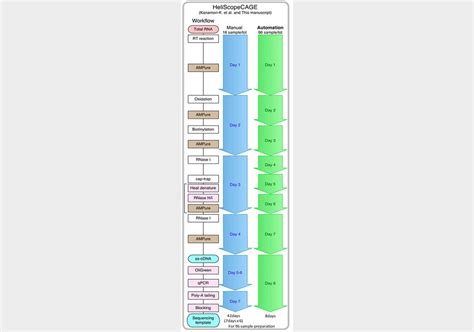 Automated Cdna Preparation System Accelerates Cage Analysis On A Single