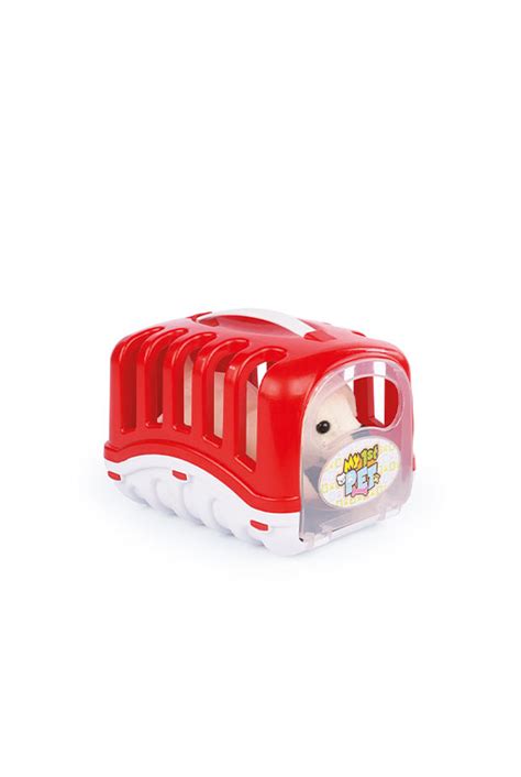 ჩემი პირველი შინაური ცხოველი