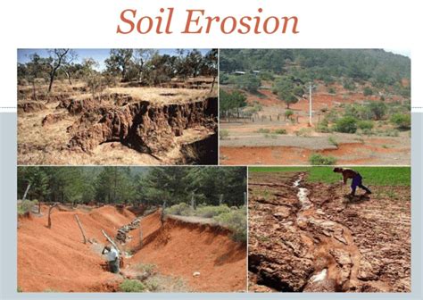 Soil Erosion Definition Government Should Protect Communities From