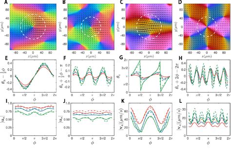 Figure 1 From Data Driven Quantitative Modeling Of Bacterial Active Nematics Semantic Scholar