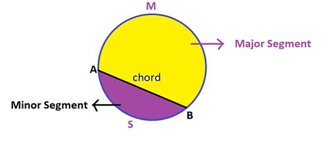 How Many Parts Of A Circle Has Ee Vibes