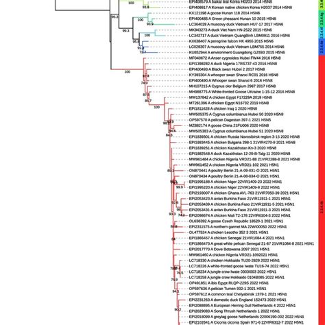 Ml Phylogenetic Tree Of H5 Gene Sequences 1704 Bp From Download