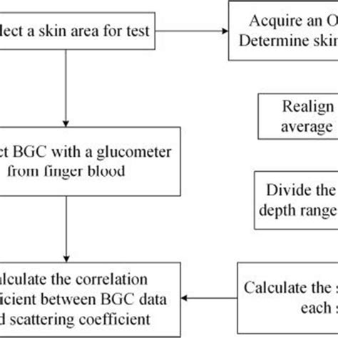 Flow Chart Of The Oct Signal Processing Algorithm For Obtaining